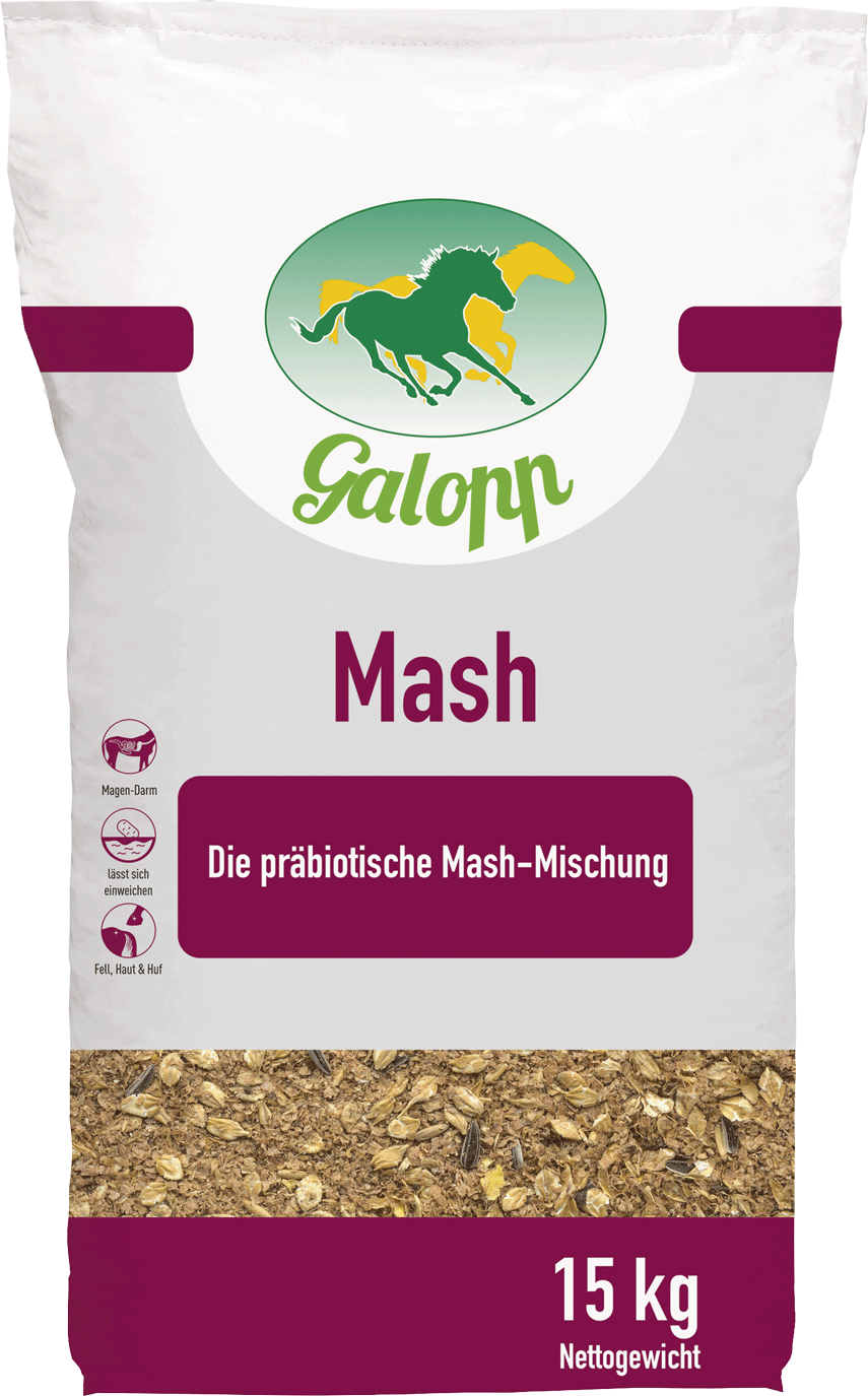 Galopp Pferdefutter Mash | raiffeisenmarkt.de