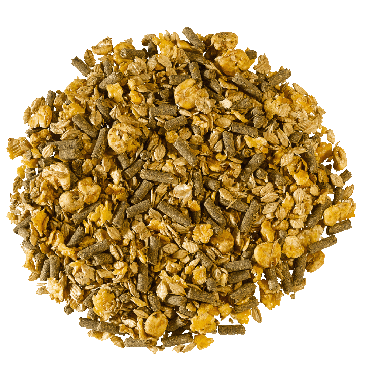 DERBY Pferdefutter Cool&Fit | 20 kg | 1029901