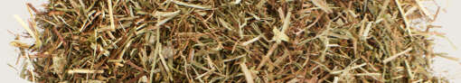 DERBY Raufutter: Die hochwertige alternative zu Heu für Pferde
