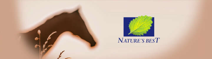 NATURES BEST CBD günstig kaufen bei raiffeisenmarkt.de