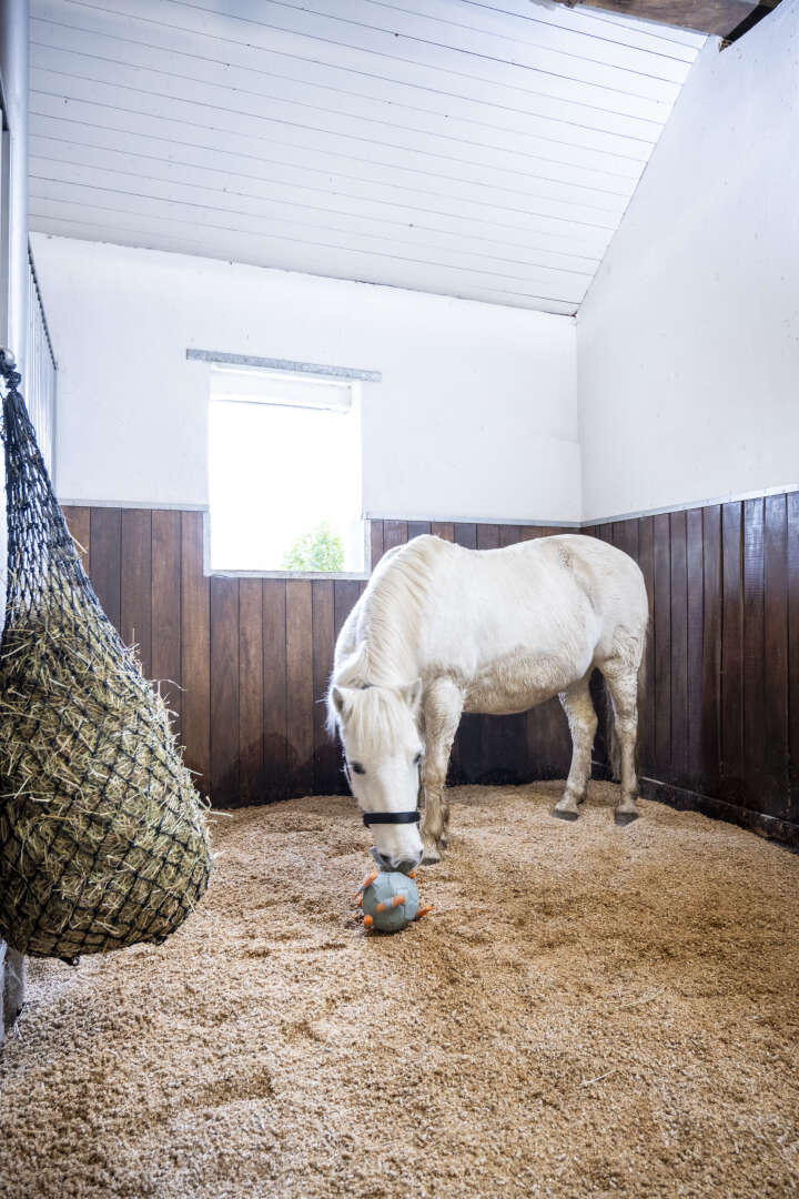 Equi-Pellets 20 kg | raiffeisenmarkt.de