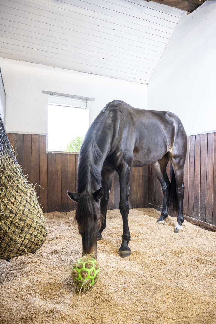 Equi-Pellets 20 kg | raiffeisenmarkt.de